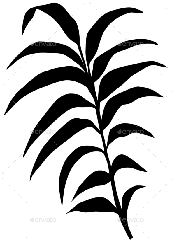 Leaves shadow effect overlay on white wall background, isolated Branches leave silhouette Stock ...